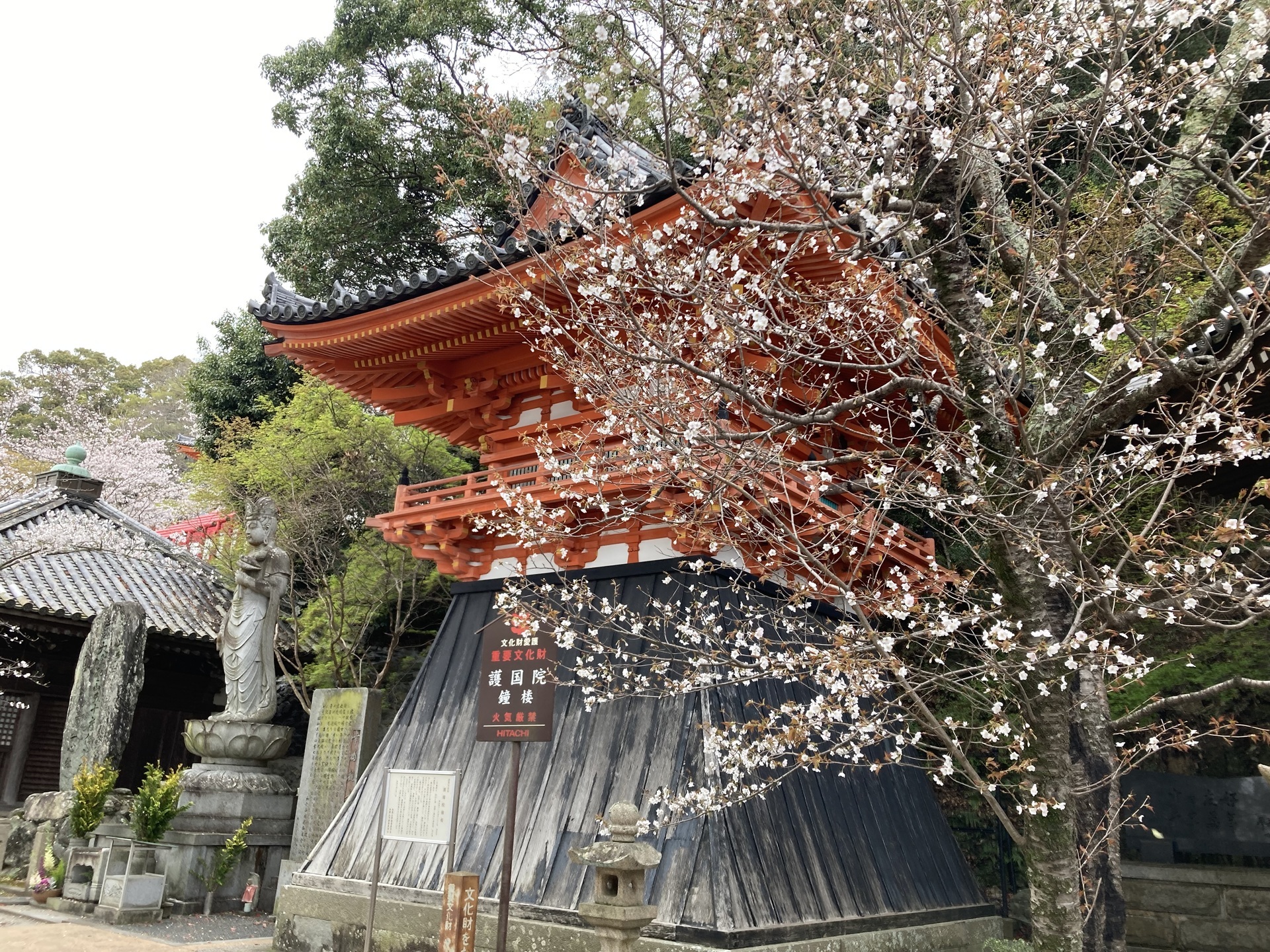 804．紀三井寺（和歌山市) ―今年のお花見①―: 古民家アンティークギャラリーカフェ なつめのブログ